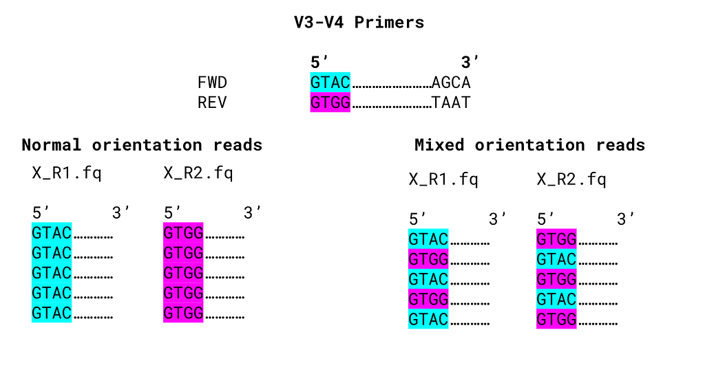 Preparing mixed orientation reads for dada2 - User Support - QIIME 2 Forum