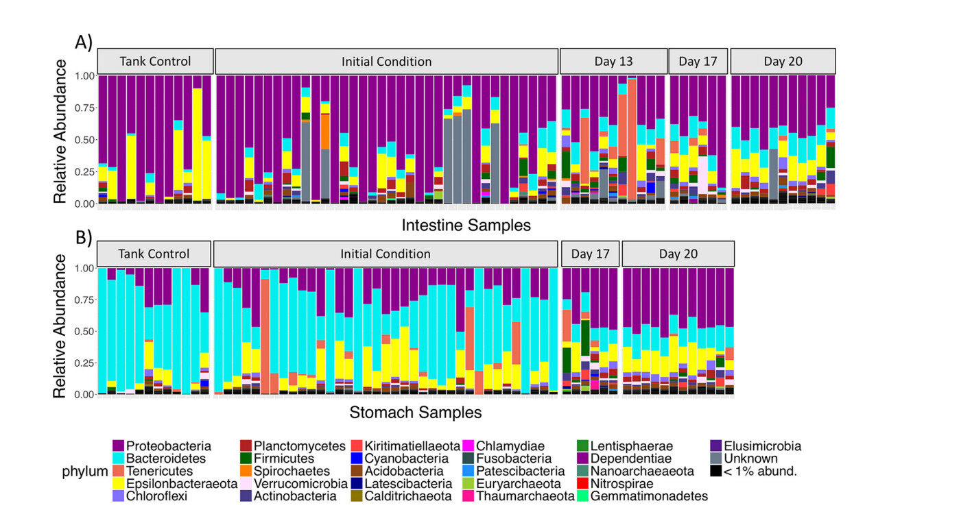 Presenting My Bar Plots For Publication Other Bioinformatics Tools 
